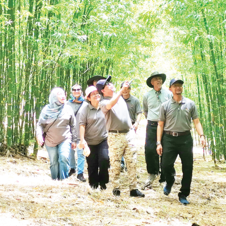 Dari buluh terhasil pelbagai produk - UTUSAN SARAWAK