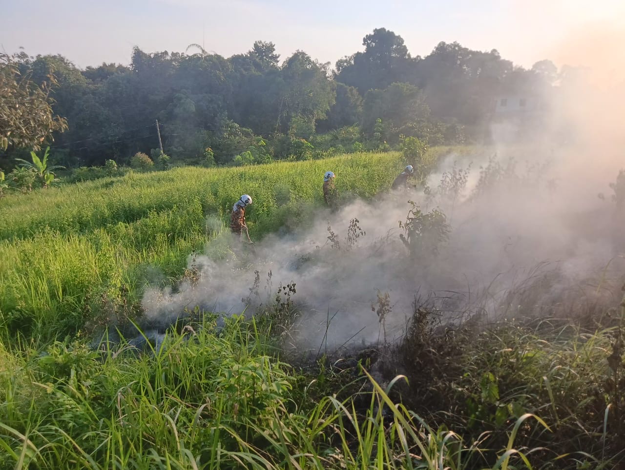 Kebakaran rumput di kawasan kebun di Bintangor - UTUSAN SARAWAK
