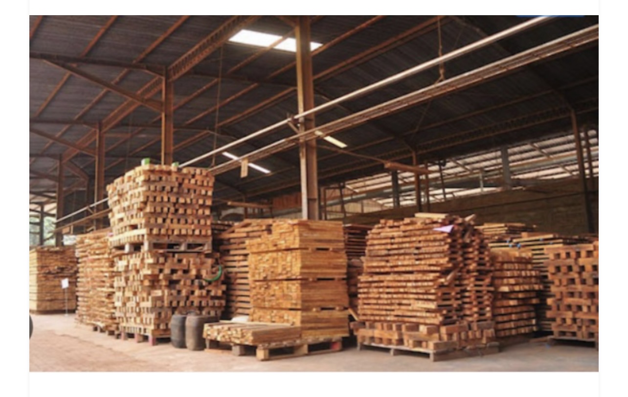 Industri perkayuan Sarawak diunjur raih RM8 bilion eksport tahunan ...