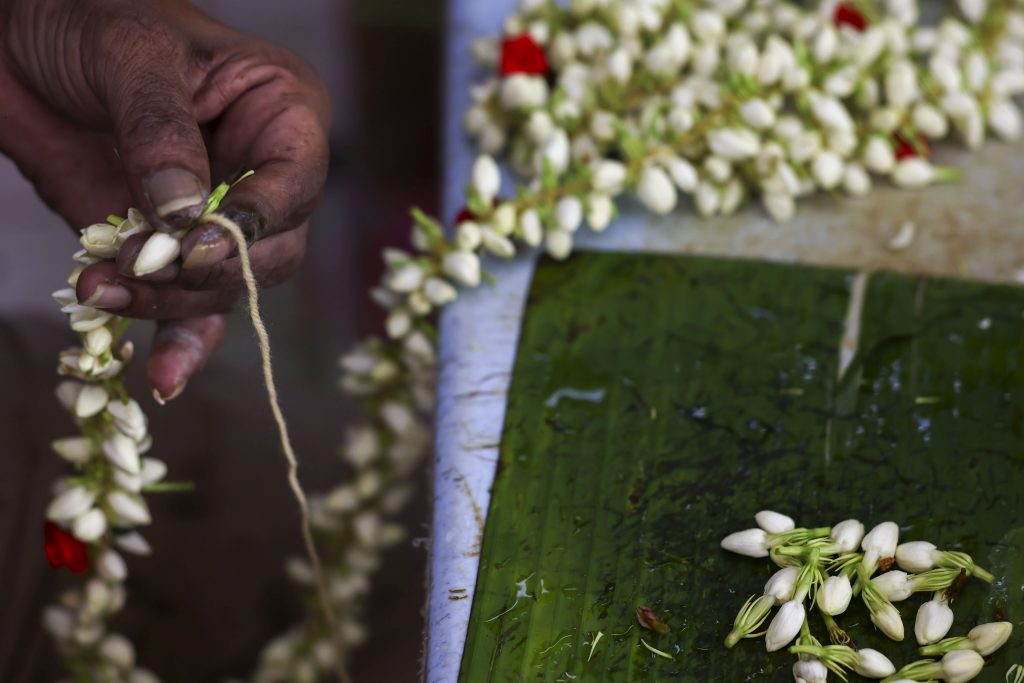 Bunga Malai jadi perhatian pelbagai bangsa - UTUSAN SARAWAK