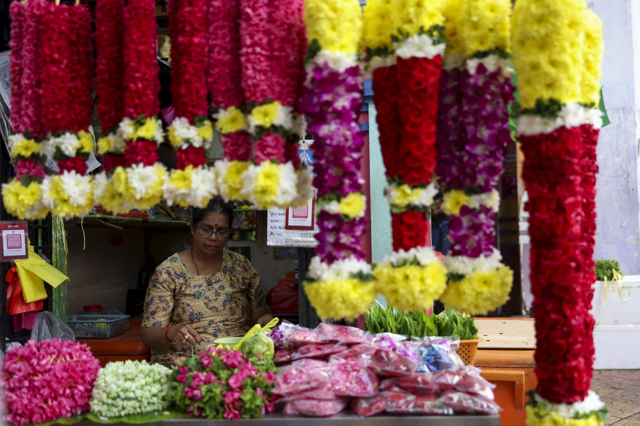 Bunga Malai jadi perhatian pelbagai bangsa - UTUSAN SARAWAK