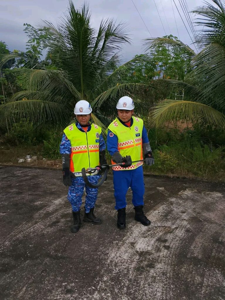 Tedung hitam lima kaki berjaya ditangkap - UTUSAN SARAWAK