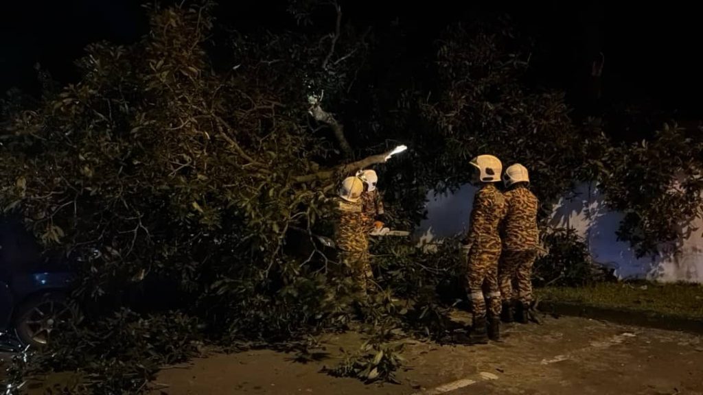Dua kereta alami kerosakan ditimpa sebatang pokok tumbang - UTUSAN SARAWAK