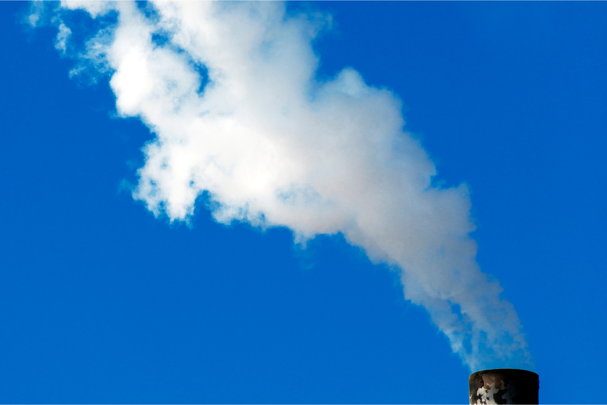 Asap putih muncul di Vatican, tanda Paus baharu dipilih - UTUSAN SARAWAK