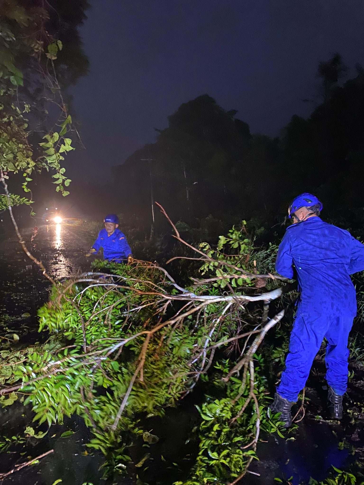 Pokok tumbang halang Jalan Kampung Menuang, APM bertindak pantas ...