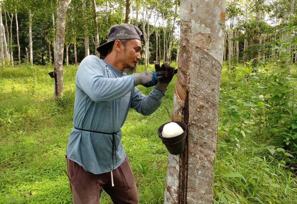 Pasaran getah ditutup bercampur susulan dialog AS-China - UTUSAN SARAWAK