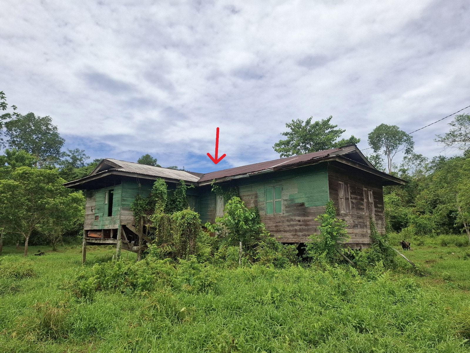 Operasi lombong kripto haram di rumah terbiar Marudi tumpas - UTUSAN ...