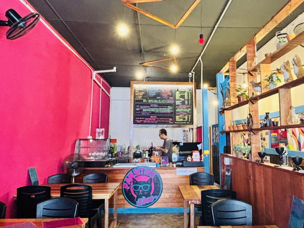 Eksklusif: Pawsitive Vibes Café umum tutup 31 Julai ini, fokus misi ...