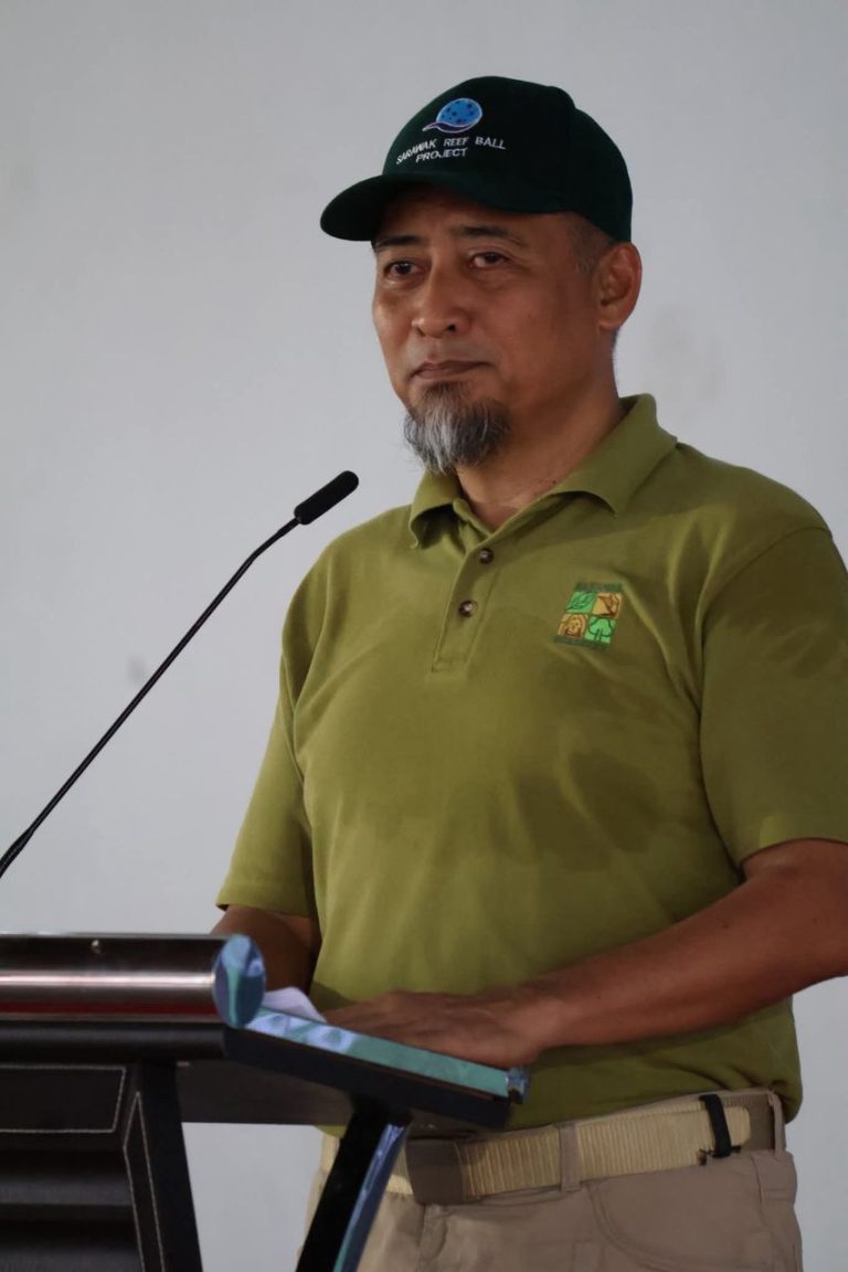 Eksklusif: Populasi orang utan Borneo terkawal - UTUSAN SARAWAK