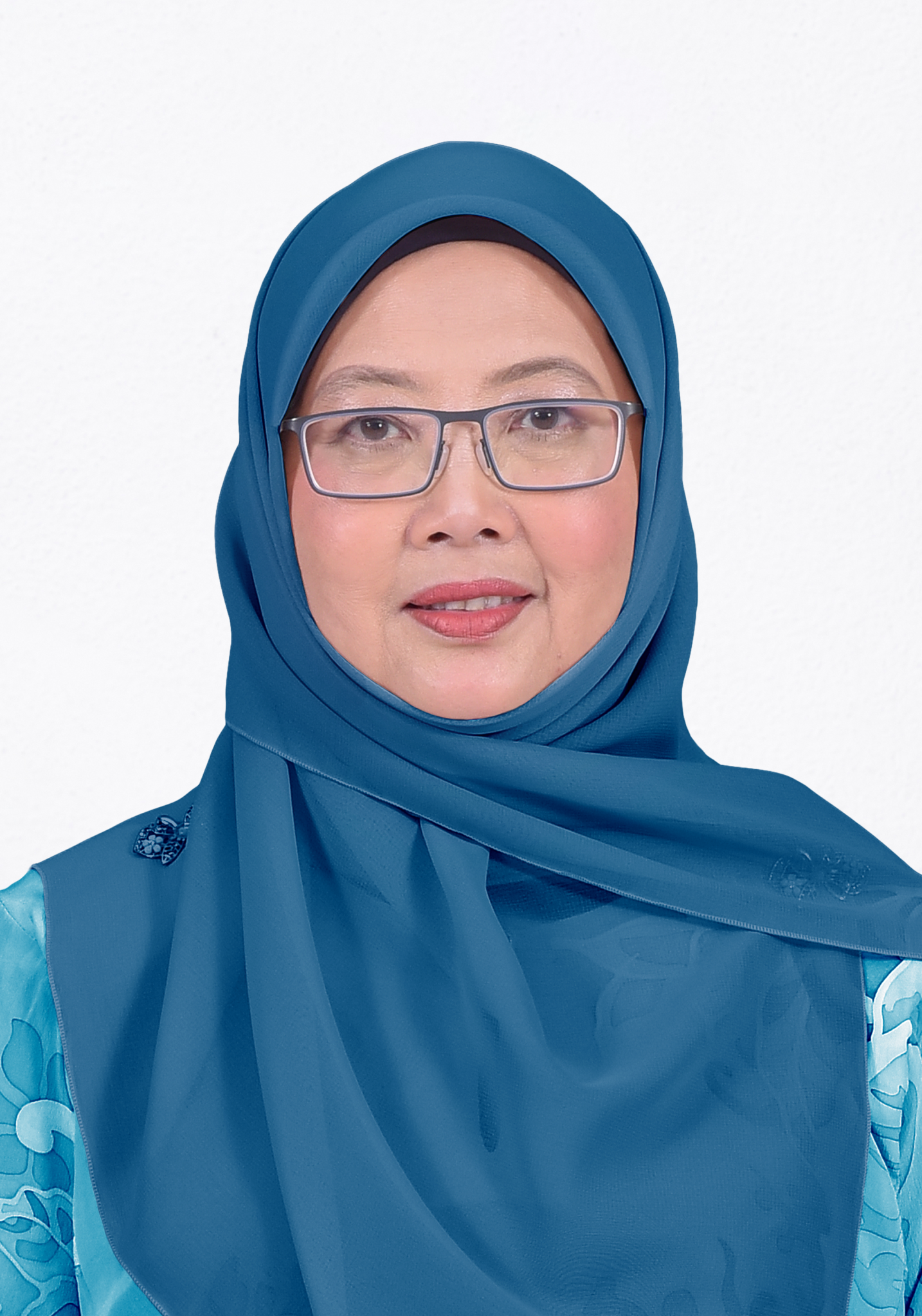 Hati-hati naikkan Jalur Gemilang, lambang maruah negara - Dr Zaliha ...