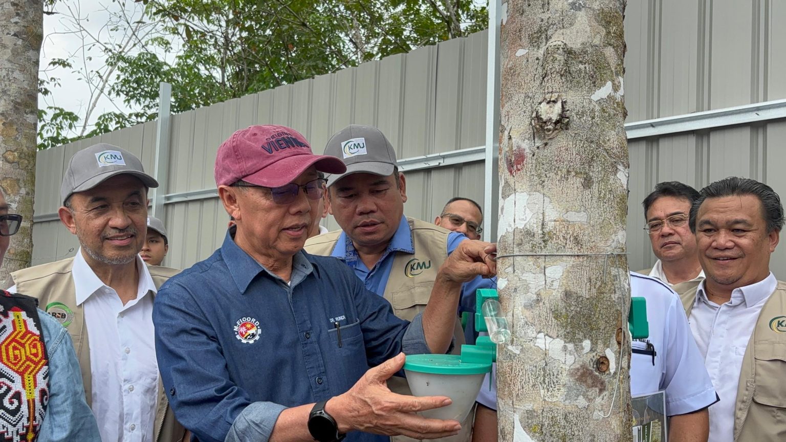 Sarawak perkenal kaedah torehan ‘punching’, lonjak industri getah ...