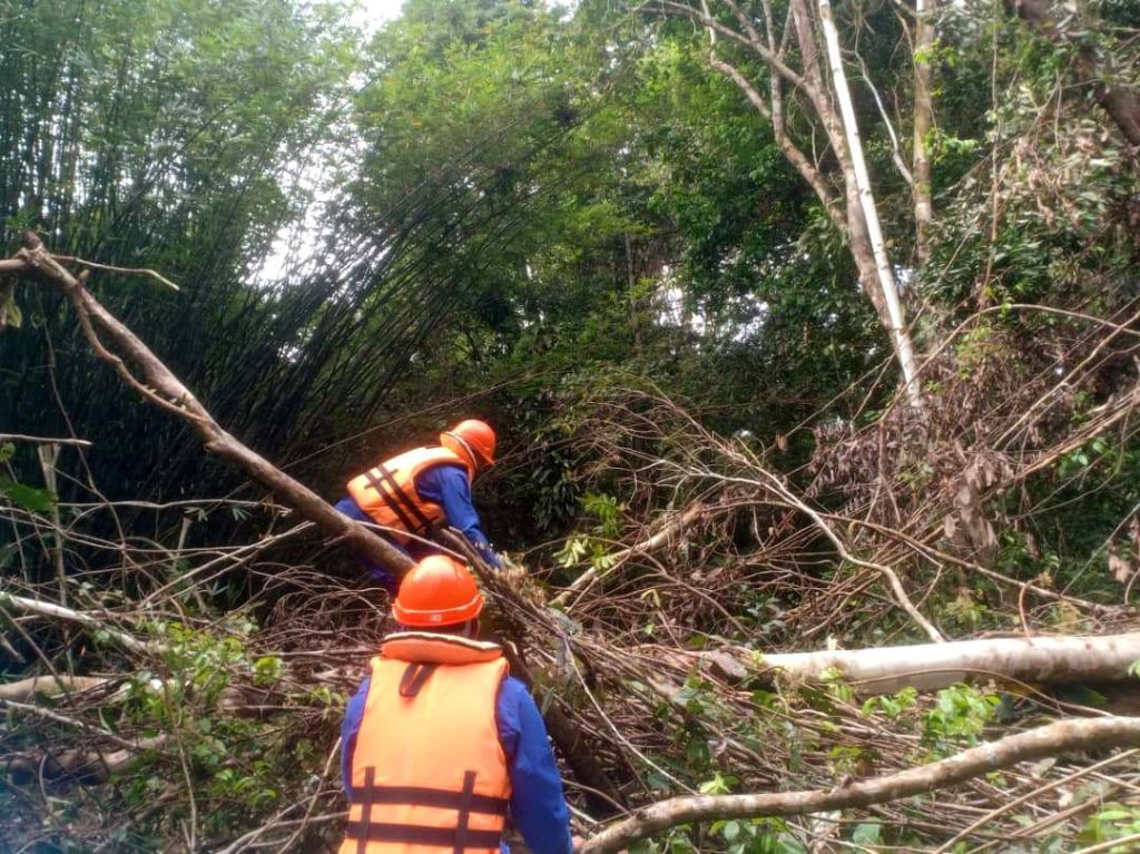 APM Beluru segera bersihkan pokok tumbang halang laluan sungai - UTUSAN ...