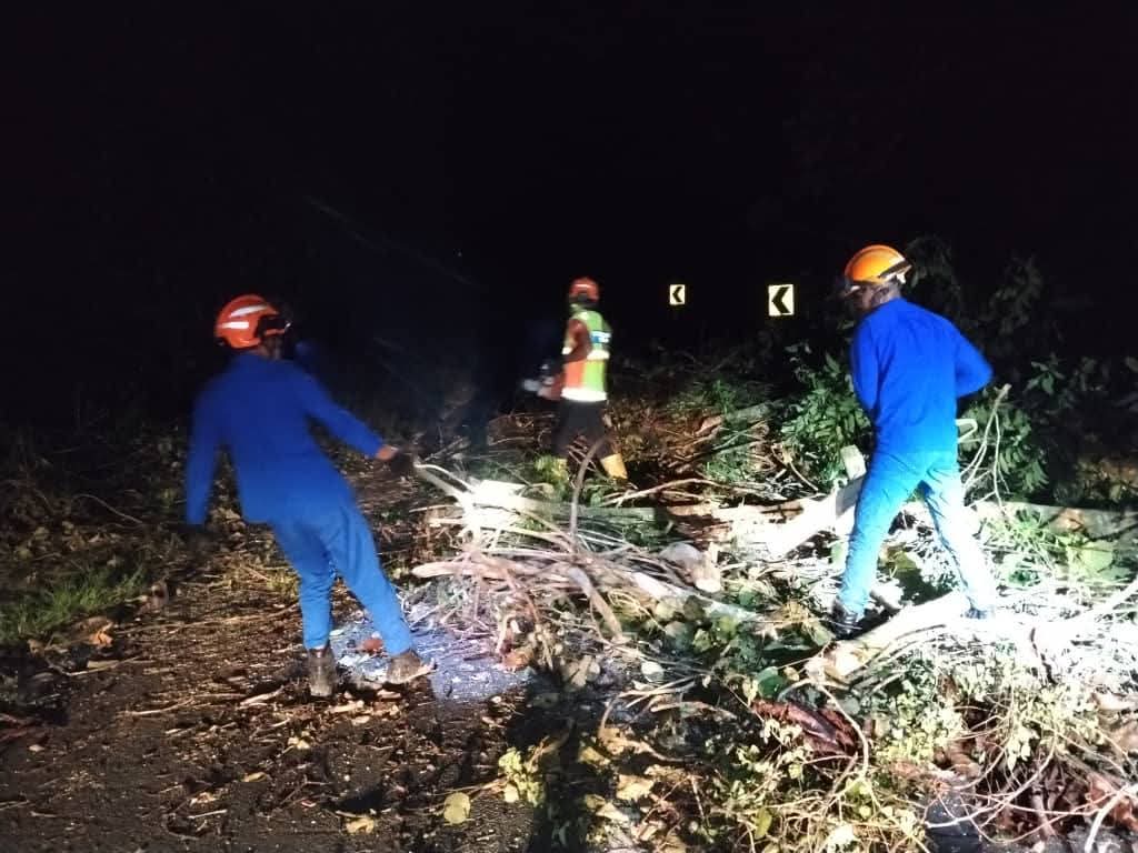 Pokok tumbang halang laluan ke rumah panjang, APM Spaoh bertindak ...